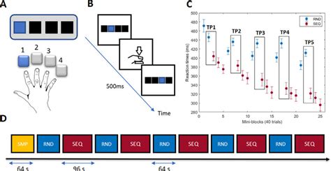Experiment 1 Experimental Design And Behavioural Results A Serial Download Scientific
