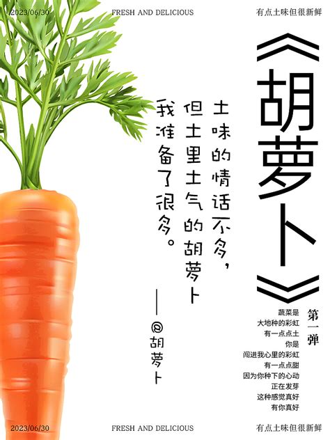 胡萝卜海报伊人浅笑醉红尘 站酷zcool