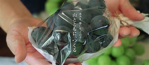 山のぶどう 福岡県うきは市の葡萄農家
