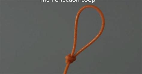 A Perfect Loop Imgur