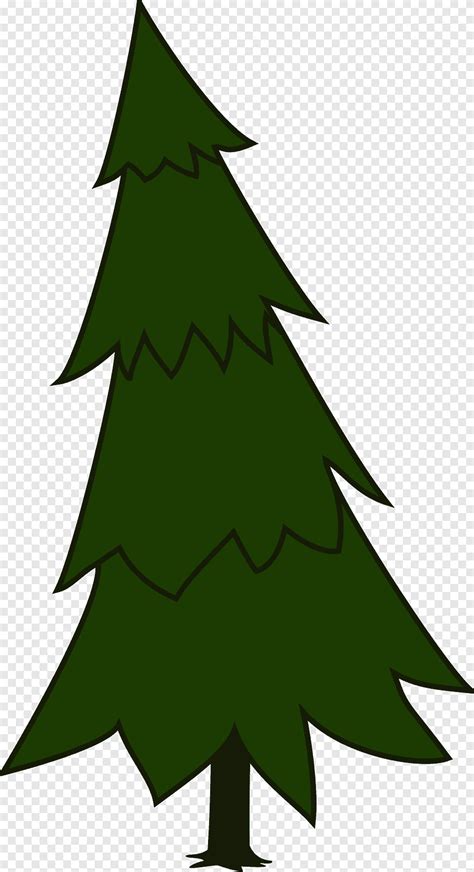 Pine Tree Spruce Cartoon Forest Leaf Branch Png PNGEgg