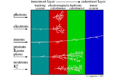 Particle Detection At Various Stages Of Tracking System Download Scientific Diagram