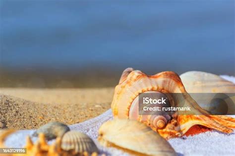 뜨거운 여름 태양 아래 모래 위에 조개껍데기와 수건이 있는 해변의 전망 선택적 초점 모래 해변 휴가의 개념 0명에 대한 스톡