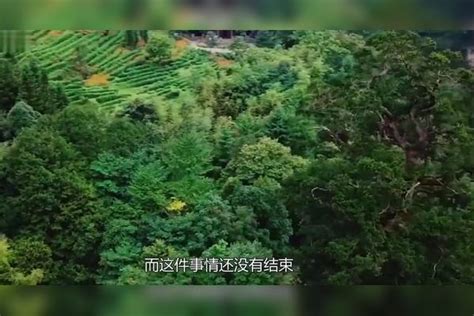 中国两个最神秘的地方，科学家们都难以解释，至今还是个未解之谜科学家们之谜地方