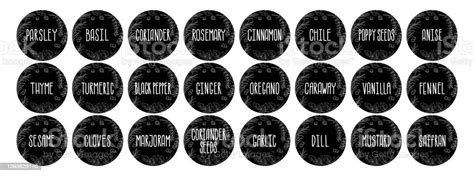 향신료 스티커의 벡터 세트 바질 파슬리 고수풀 로즈마리 계피 칠리 후추 백리향 심황 후추 생강 오레가노 커민 양귀비 아니스 마늘 딜 겨자 사프란 바닐린 회향 참깨 정향 마