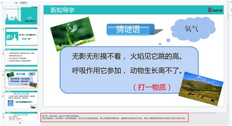 课件展示