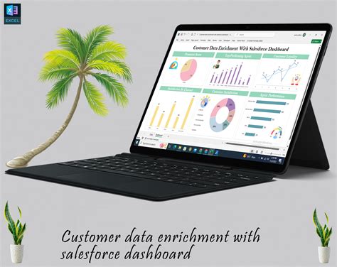Data Enrichment Tools Enhance Customer Data With Salesforce Dashboard