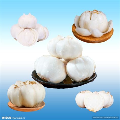 兰州百合 设计图 广告设计 广告设计 设计图库 昵图网