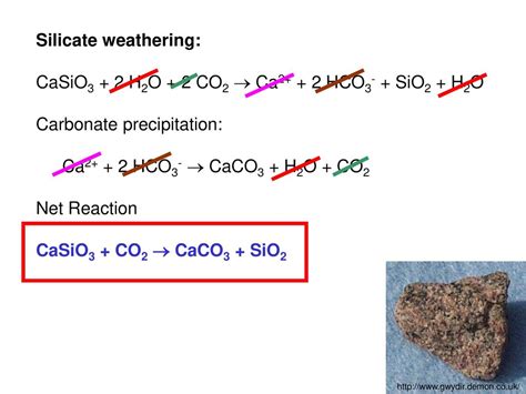 Chapter 8—part 2 Basics Of Ocean Structure The Inorganic Carbon Cycle Ppt Download