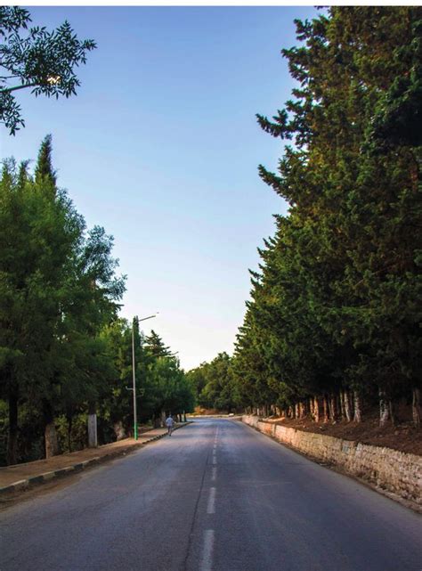 Le Monde Dans Aïn Draham Aïn Draham Dans Le Monde Profil Migratoire De La Commune DaÏn Draham