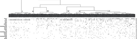 hierarchical clustering and the mutation distribution of gene