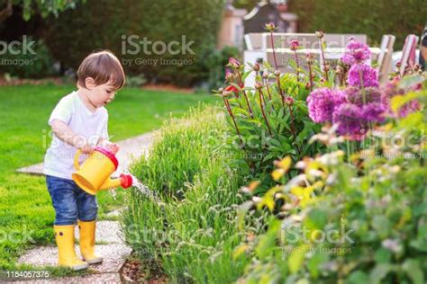 노란색 레인 부츠에 귀여운 작은 아기 소년 급수에서 정원에서 개화 꽃을 급수 할 수 있습니다 여름 원 예 라이프 스타일 작은 환 도우미 물 주기에 대한 스톡 사진 및 기타