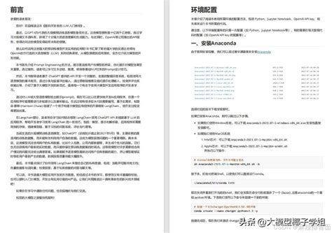 开发者都在学！吴恩达andopen ai强势推出《大模型通关手册》 附pdf 面向开发者的大模型手册 吴恩达pdf csdn博客