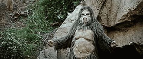 Bigfoot  Bigfoot Sasquatch Discover And Share S