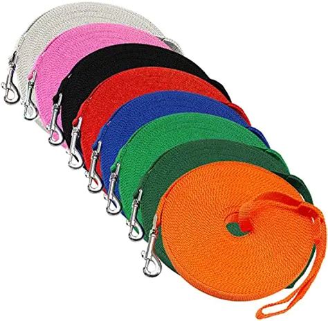 اطاعت از سگ توله سگ ، یادآوری طولانی مدت چابکی سرب بند ایده آل برای