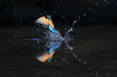 リフレクション GANREF