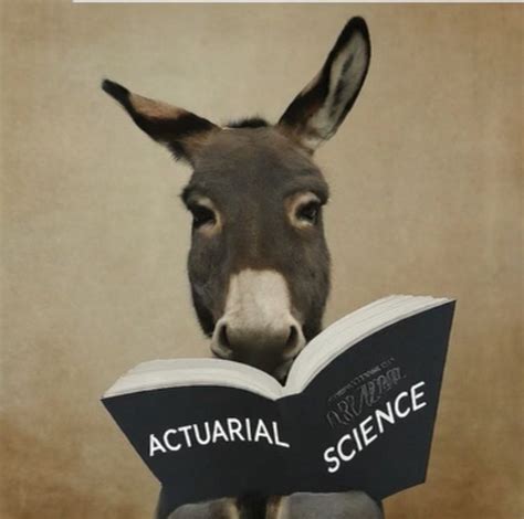 Anmol Khurana On Linkedin Actuarialscience Problemsolving Math