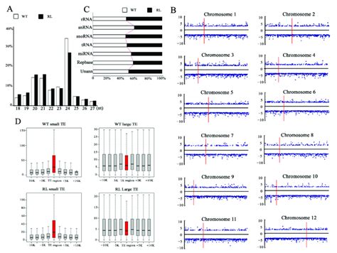 Genome Wide Small RNA Expression Alteration Between RL And Its Donor Download Scientific