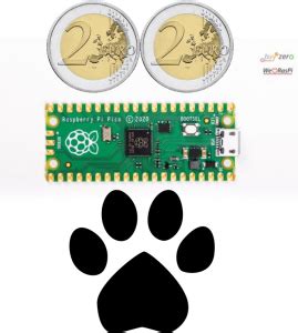 Curious Raspberry Pi Pico Facts PiCockpit