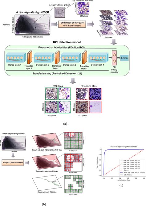 Applying The Region Of Interest Roi Detection Model A Example Of A