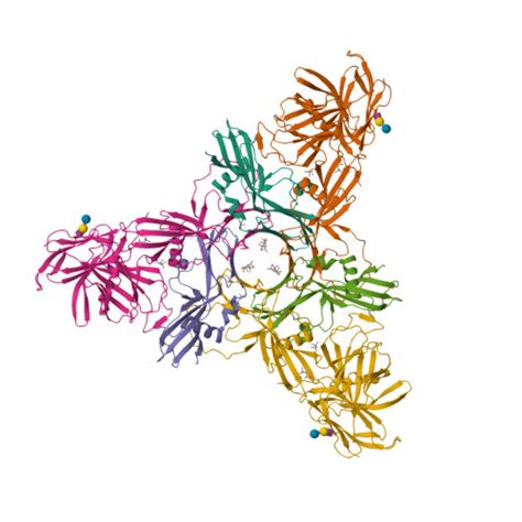 Clostridium Botulinum Structure