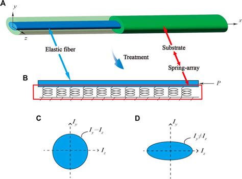 Frontiers Hierarchical Buckling Of Elastic Fiber Under Transverse Confinement
