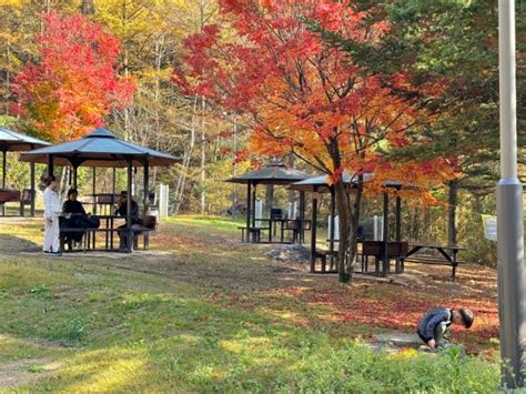 무주 덕유산 자연휴양림 바베큐부터 잣따기체험까지 네이버 블로그