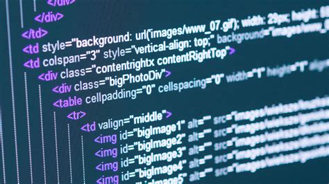 Learning Your First Programming Language Simple Programmer