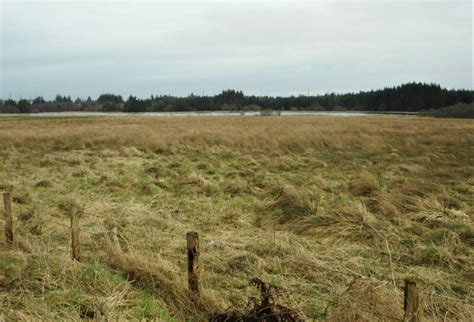 Rough Grassland © Richard Sutcliffe Geograph Britain And Ireland