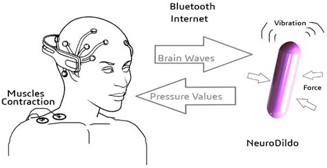 User Evaluation Of The Neurodildo A Mind Controlled Sex Toy For People With Disabilities And An