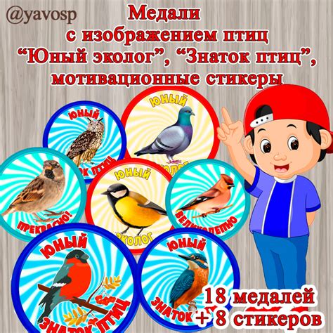 Медали "Знаток птиц", "Юный эколог", стикеры мотивационные | скачать и ...