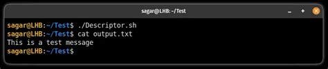 Using Exec Command In Bash Shell Scripts 4 Examples