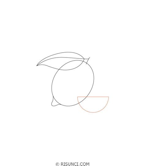 Как нарисовать лимон поэтапно 🖌 Рисунки карандашом поэтапно