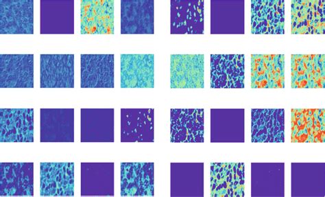 An Example Of The Deep Learning Feature Maps Using The Transfer