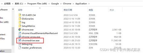 Web自动化测试（一） Selenium安装selenium版本用哪个好 Csdn博客