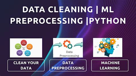 Do Data Cleaning And Preprocessing For Machine Learning By Khadijairfan2 Fiverr