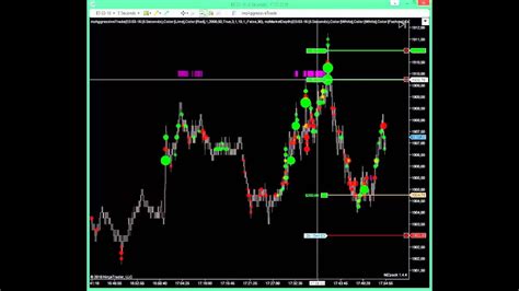 Orderflow Ninjatrader Indicator Mzpack