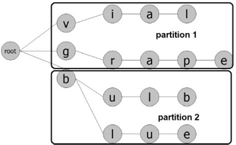 Creating The Partitions Download Scientific Diagram
