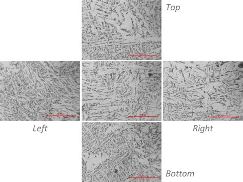 Etched 2 Layer On Conformal Copper Substrate Revealing Microstructure Download Scientific