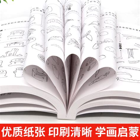 简笔画大全10000例0 3 6岁幼儿童绘画教材书幼师素材简笔画册幼儿园大中小班学画画启蒙入门培训宝宝图填色绘画书秘密花园 虎窝淘