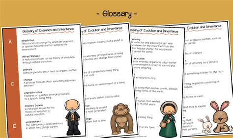 Glossary Of Evolution And Inheritance Visual Set Ks2 Evolution And Inheritance Primary Science