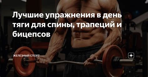 Лучшие упражнения в день тяги для спины трапеций и бицепсов Железный
