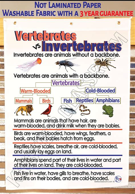 Vertebrates And Invertebrates Tree
