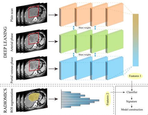 Workflow Of Deep Learning For Feature Extraction Download Scientific