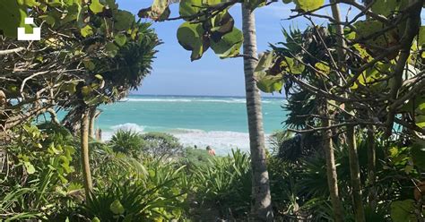 파랗고 흰 하늘 아래 잔잔한 바다를 바라보는 해변에 사람이 거의 없습니다 사진 Unsplash의 무료 땅 이미지