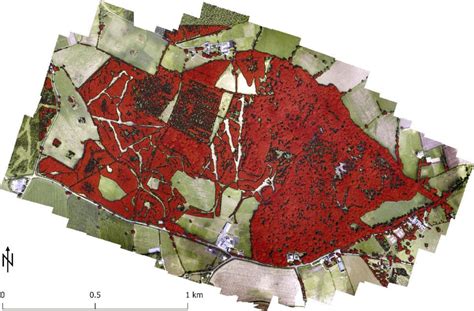 Quantifying And Monitoring Tree Canopy Cover Excel Geo