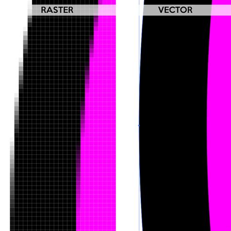 Raster Files Vs Vector Files Don T Be A Rookie Designer
