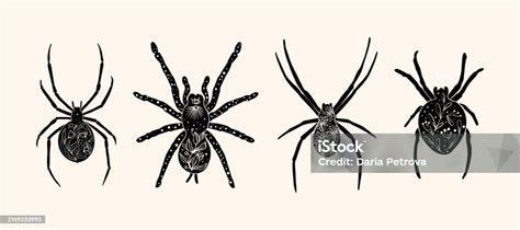 리노컷 스타일의 다양한 거미 세트입니다 유행 벡터 일러스트 레이 션입니다 0명에 대한 스톡 벡터 아트 및 기타 이미지 0명