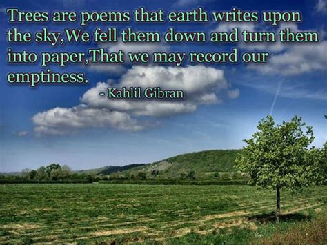Best 35 Tree Quotes And Motivational Thoughts With Pictures
