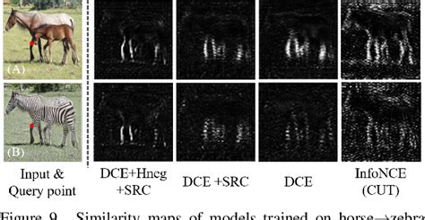 Figure 9 From Exploring Patch Wise Semantic Relation For Contrastive Learning In Image To Image